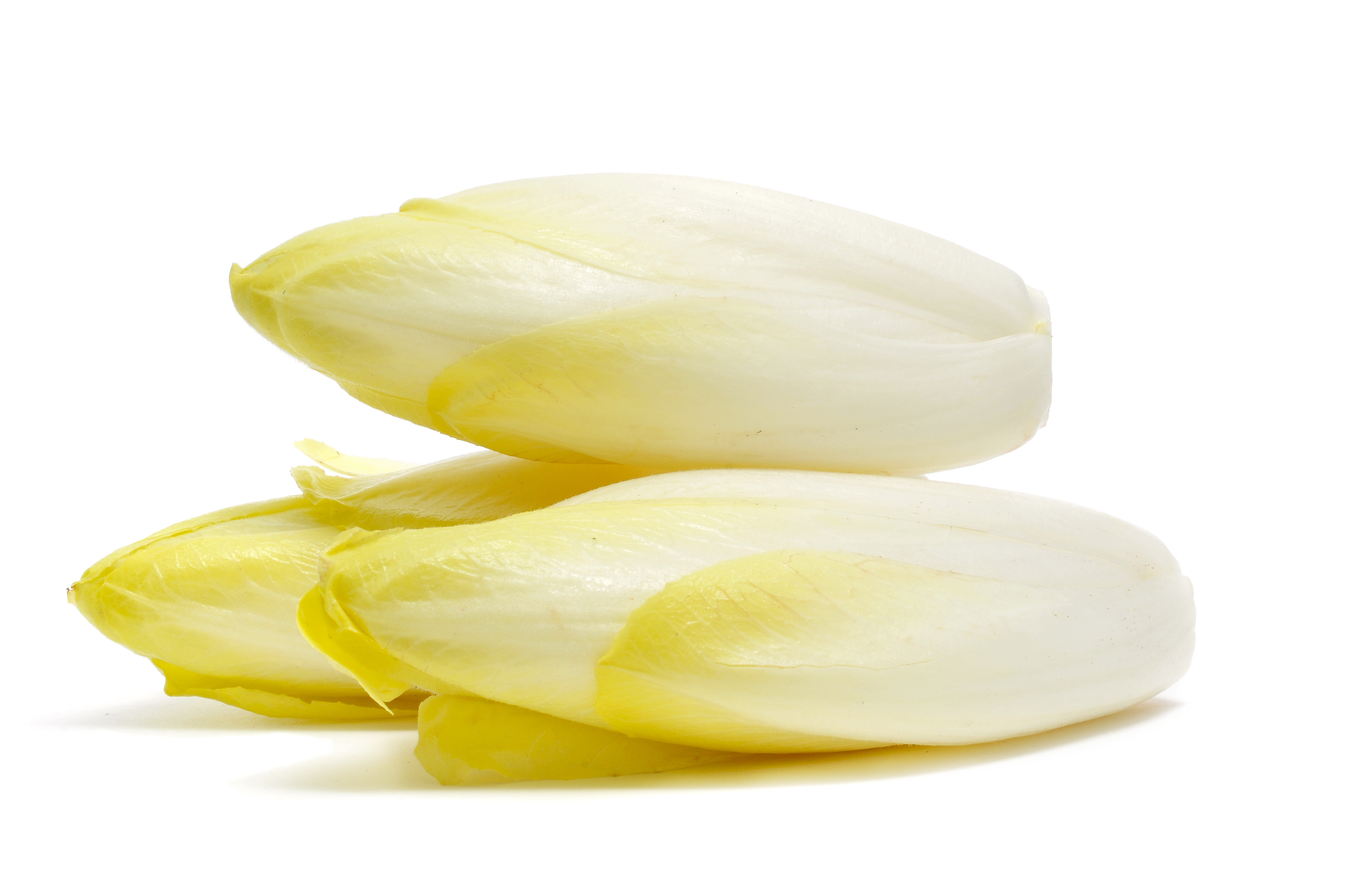 Endive (500g) – Petit Primeur