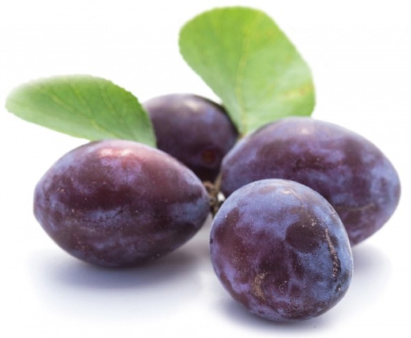 Quetsche Véritable (500gr) – Petit Primeur